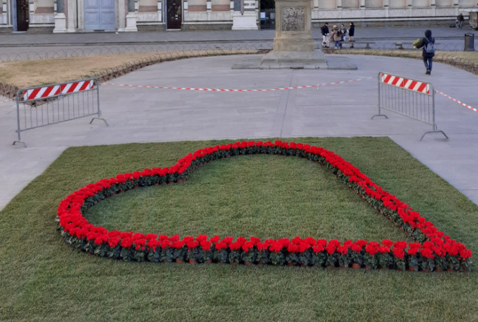 A corto di idee per San Valentino? Dona un albero alla propria amata o ...