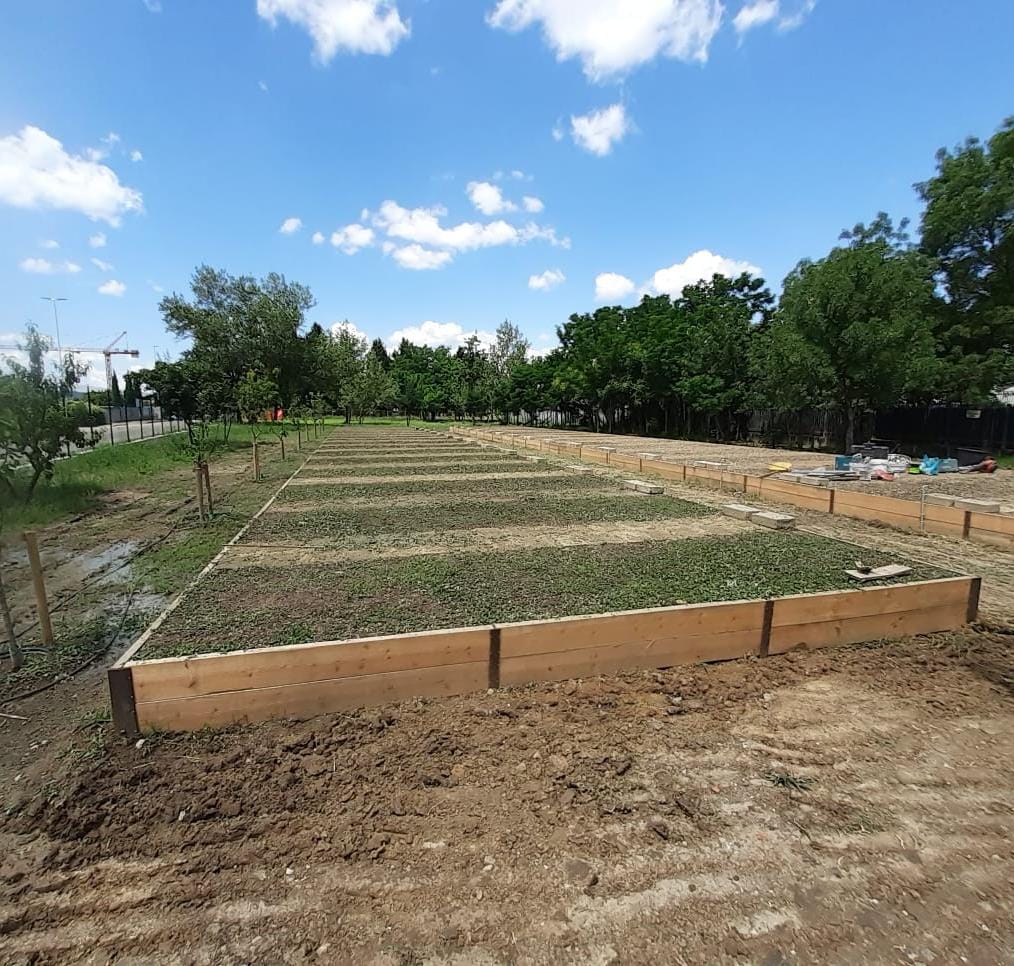 Al via gli orti urbani: richieste entro il 30 maggio - La Martinella di ...